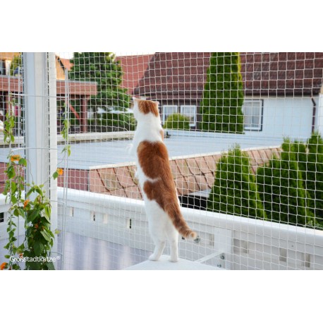 Gattaiole e Reti per Gatti - Animal House Italia